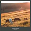 BOOM Library - Sound Effects & Albums | Artlist