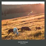 BOOM Library - Sound Effects & Albums | Artlist