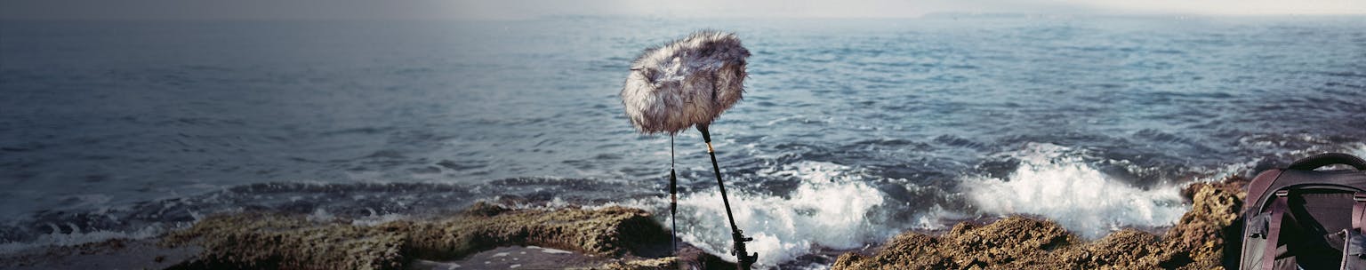 Horror, tearing and ripping off body flesh, 01 | Royalty Free Sound ...