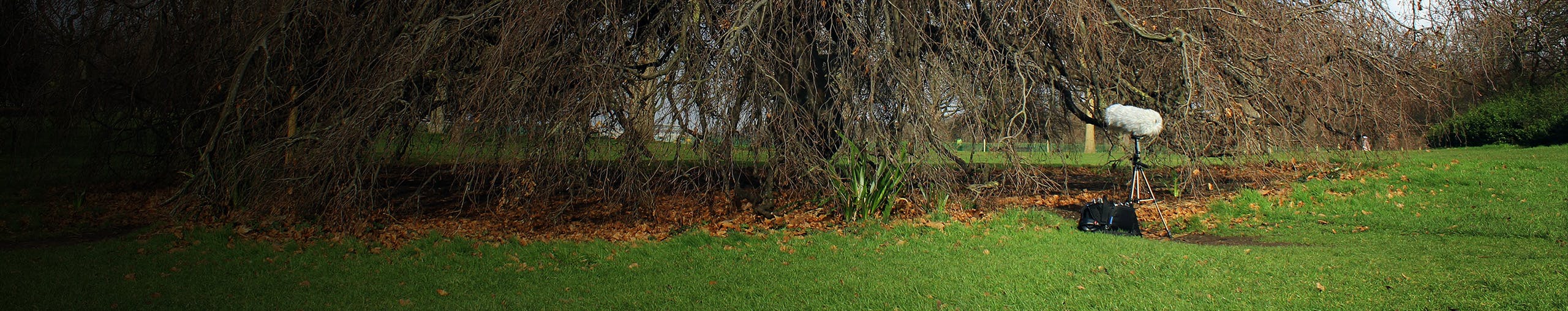 Door latch open and close with a soft intensity and close perspective ...