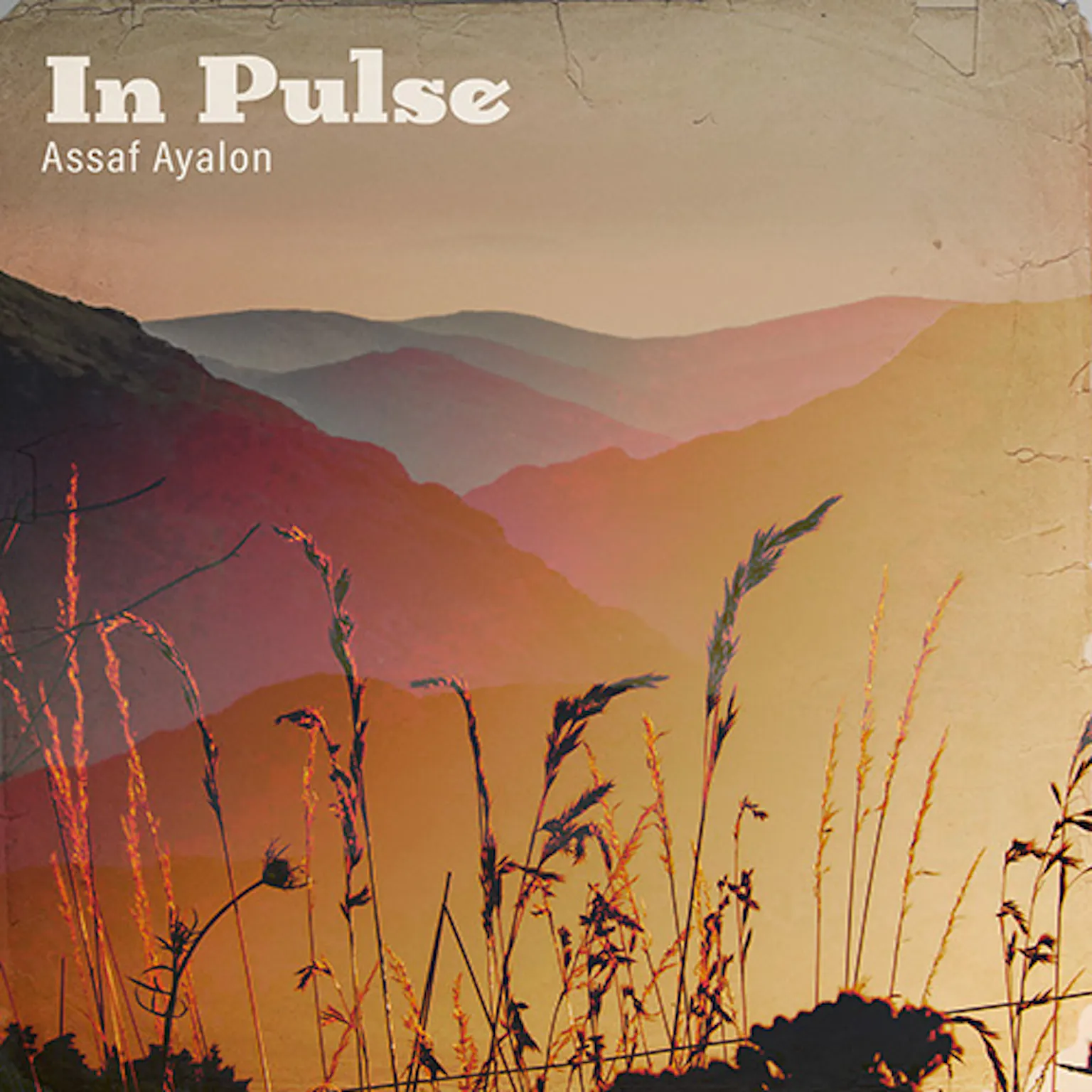 Assaf Ayalon - Songs & Albums | Artlist