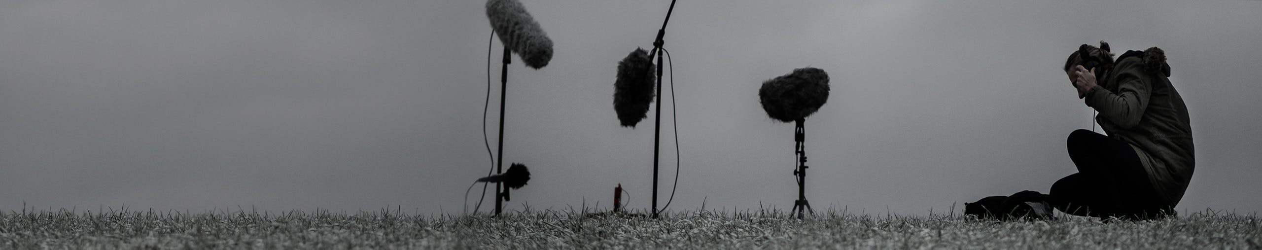 Mountain Wind - Strong Wind Rushing Through Dead Winter Grass | Royalty ...