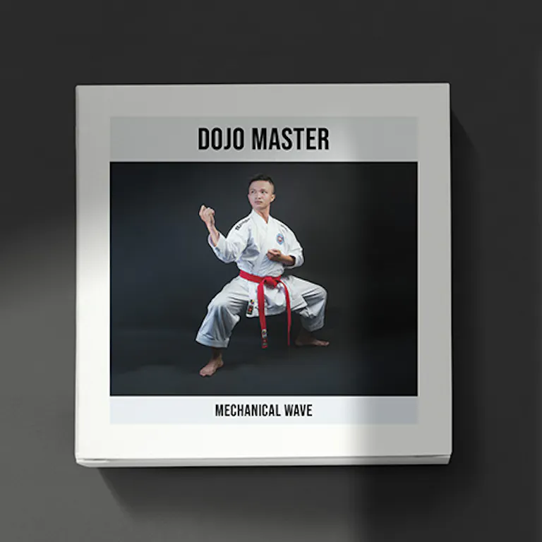 Dojo Master by Mechanical Wave | SFX - Artlist