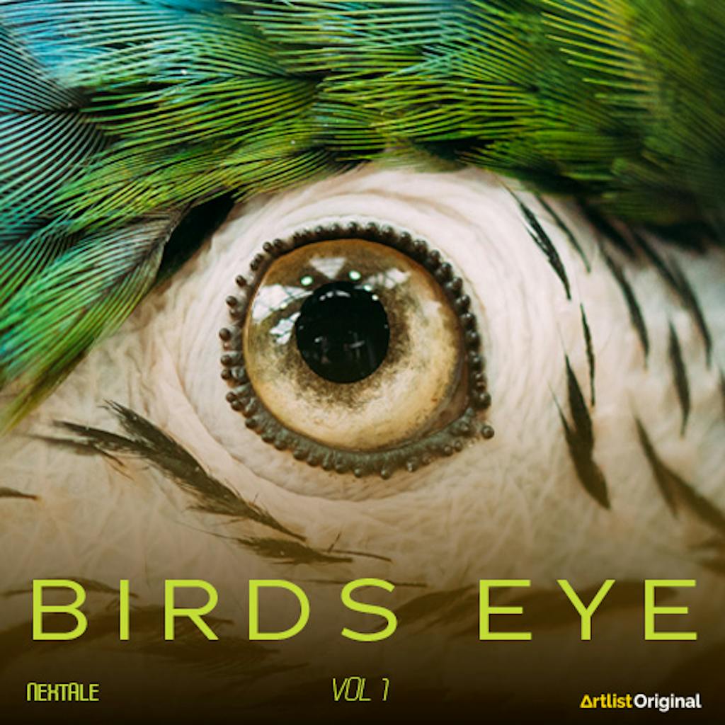 Birds Eye Vol 1 by Nextale | SFX - Artlist