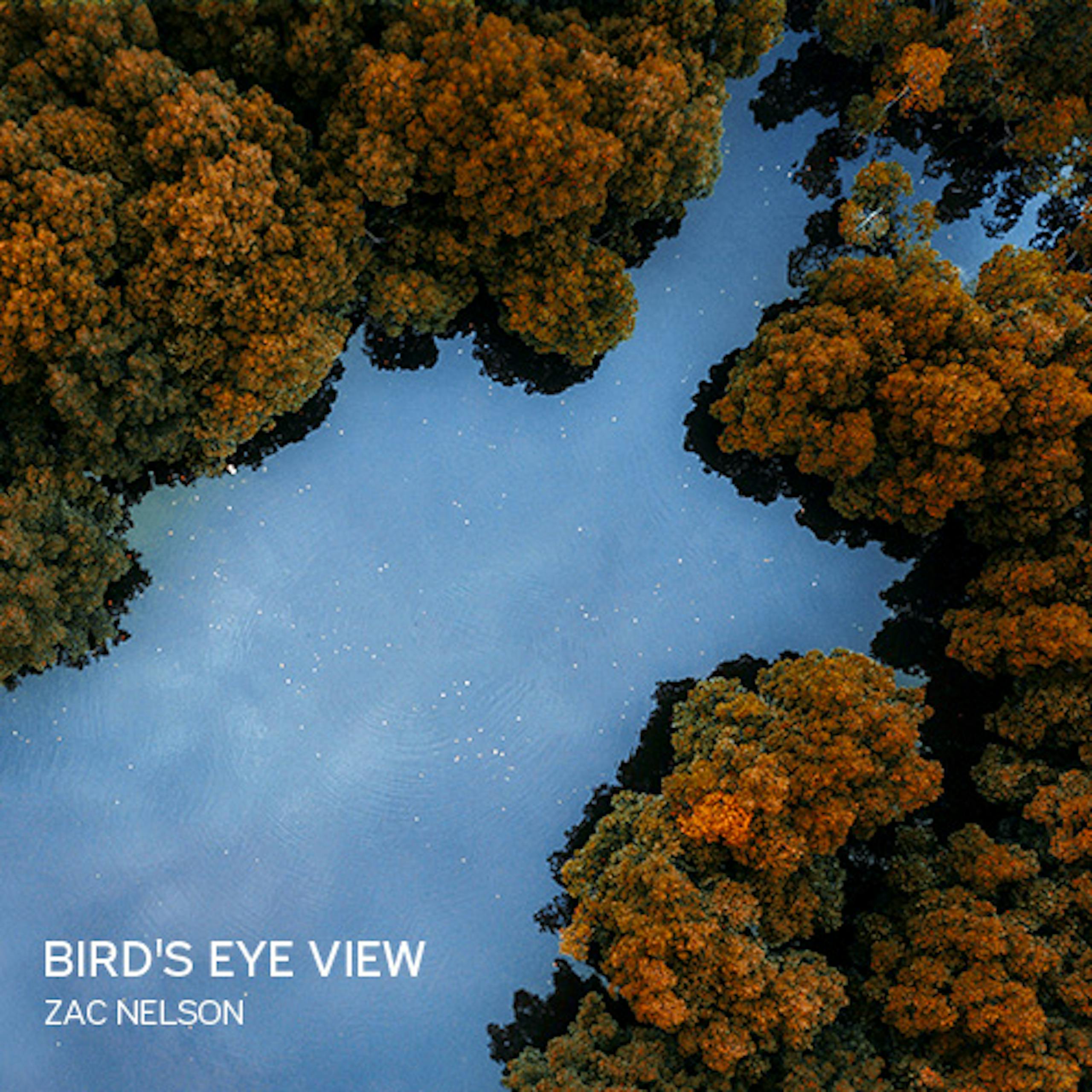 Bird's Eye View by Zac Nelson Album | Artlist