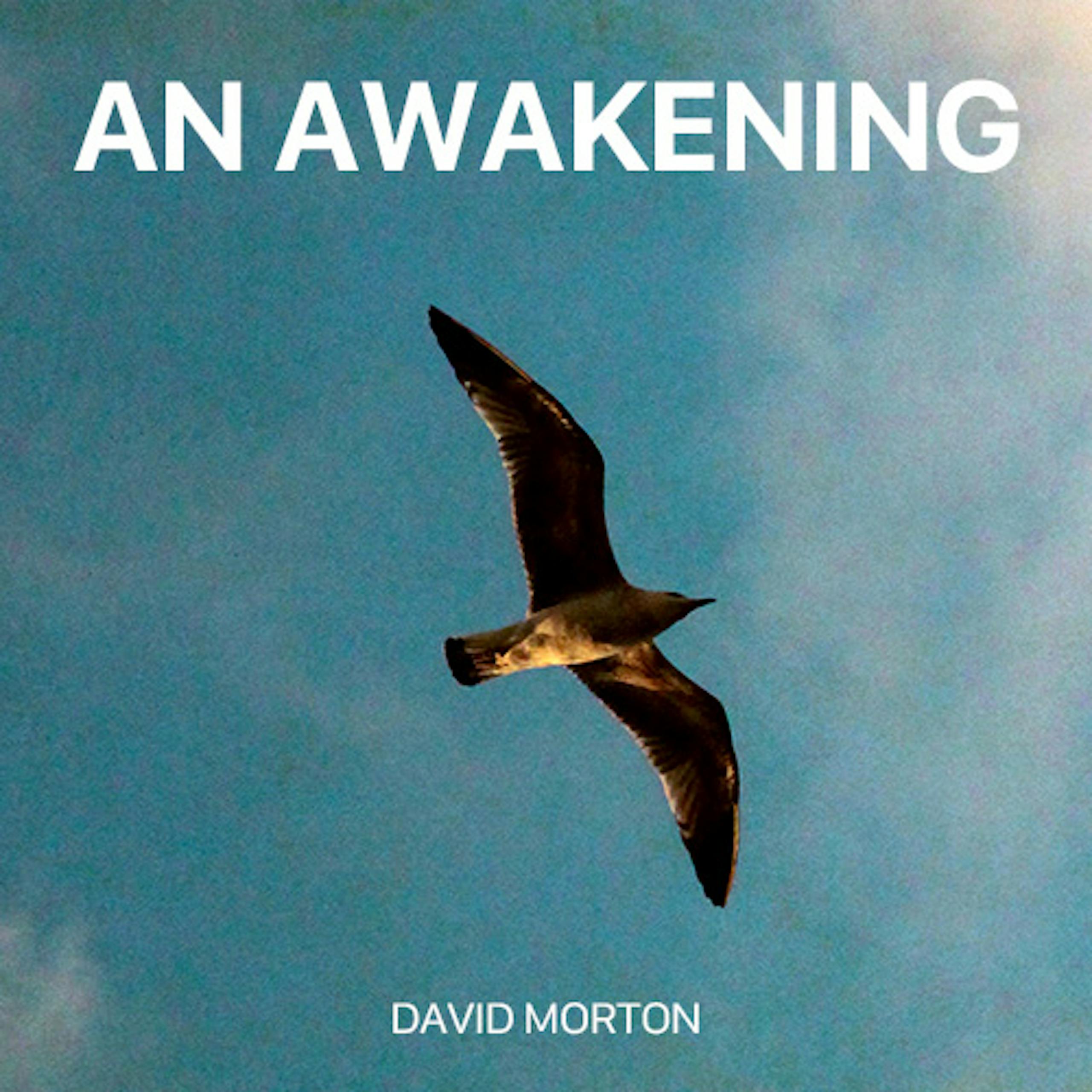 An Awakening by David Morton Album | Artlist