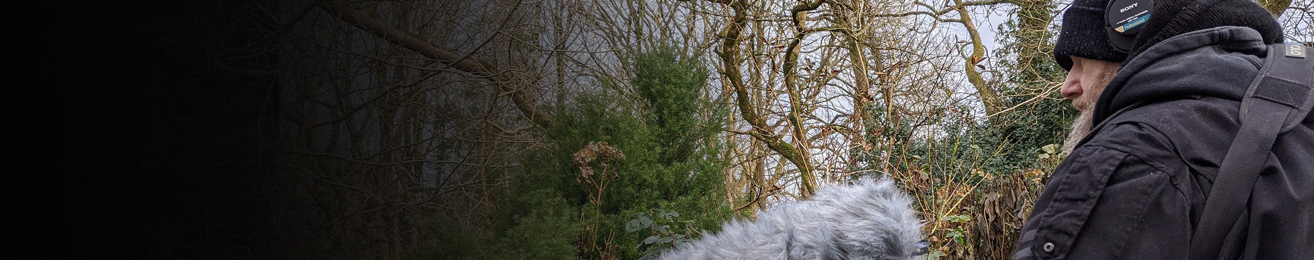 Clicking - Click Mouse Button | Royalty Free Sound Effects | Artlist