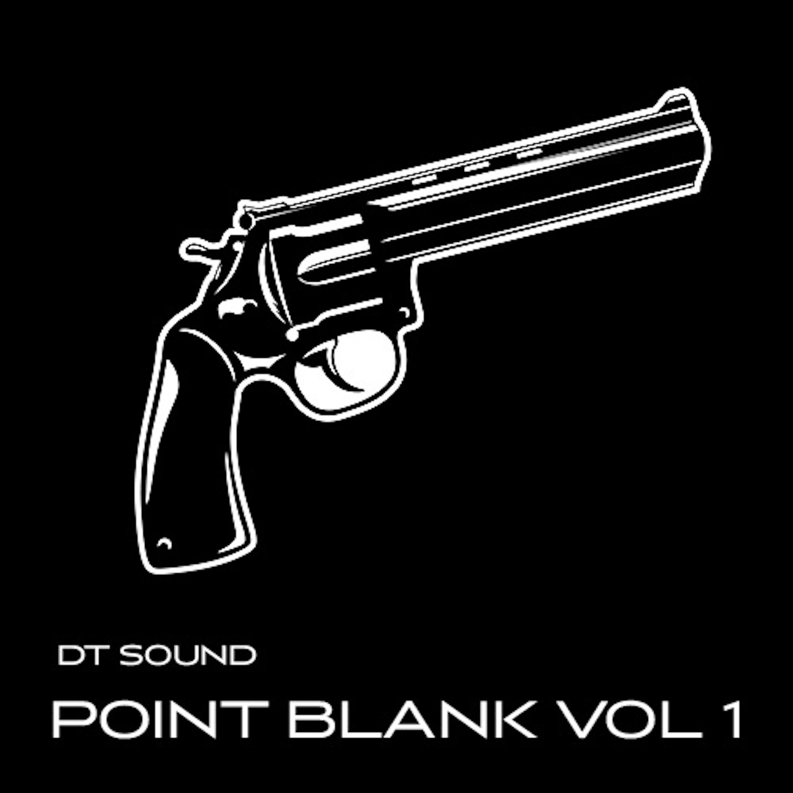 Point Blank Vol 1 by DT Sound | SFX - Artlist